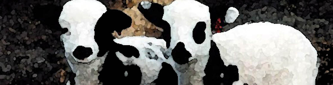 Reaching Out To The Striped, Speckled and Spotted – Daniel Kolenda